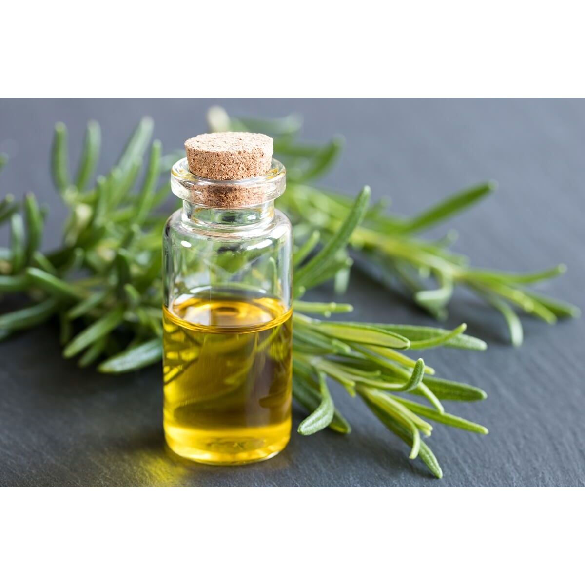 Room Diffuser - Rosemary – Peaceful Beauty
